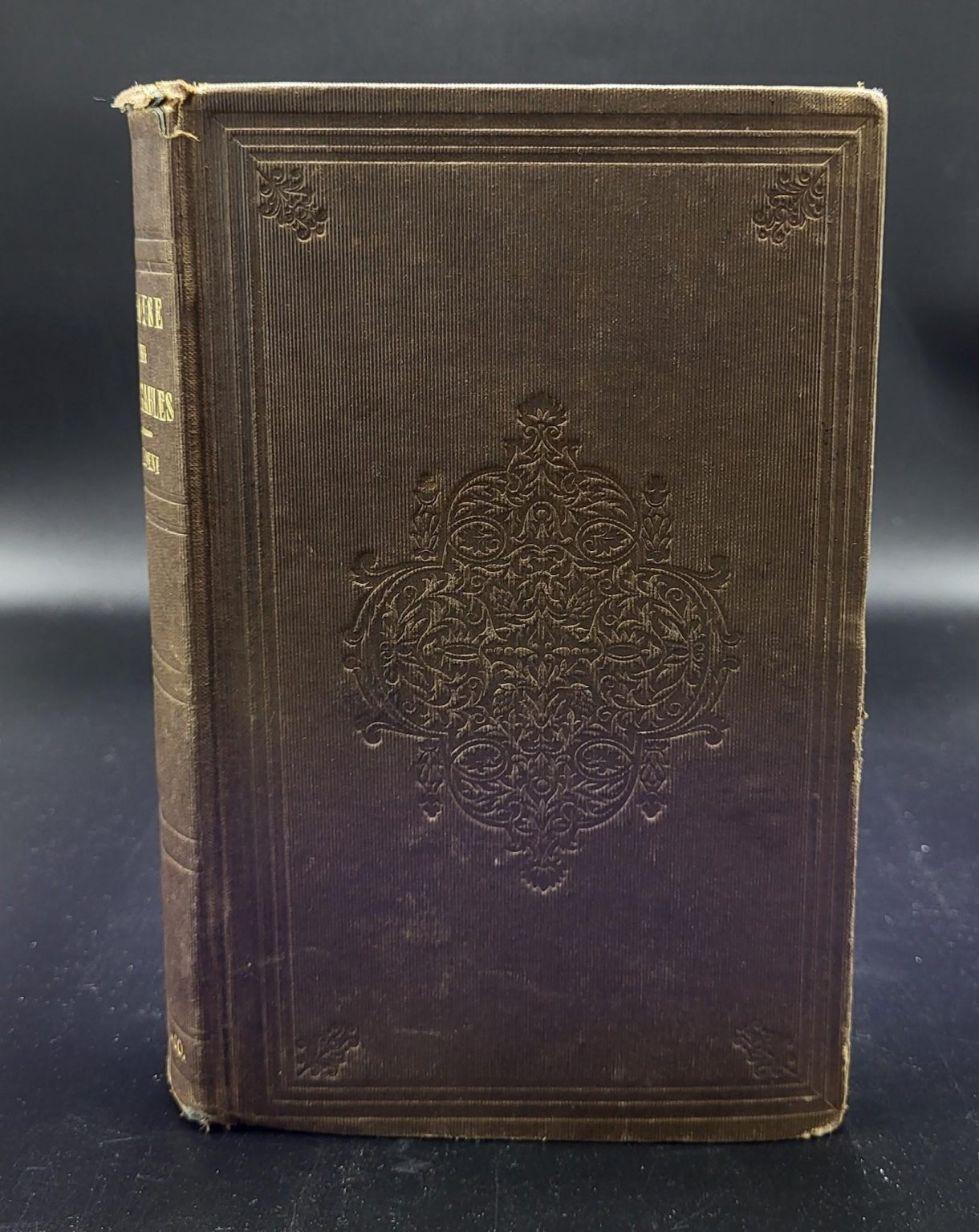Collections Corner: Hawthorne's Famous Novel - The House of the Seven ...